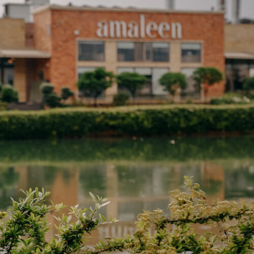 Home - Amaleen Restaurant